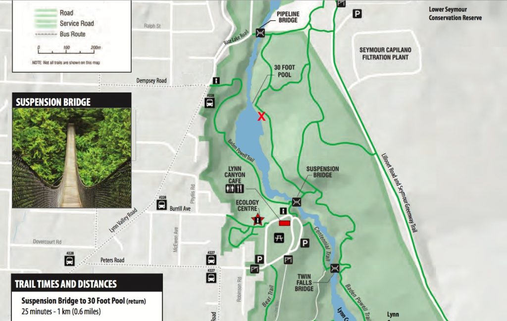LOCATION: DESCENDANTS 3 in North Vancouver's Lynn Canyon as Enchanted ...