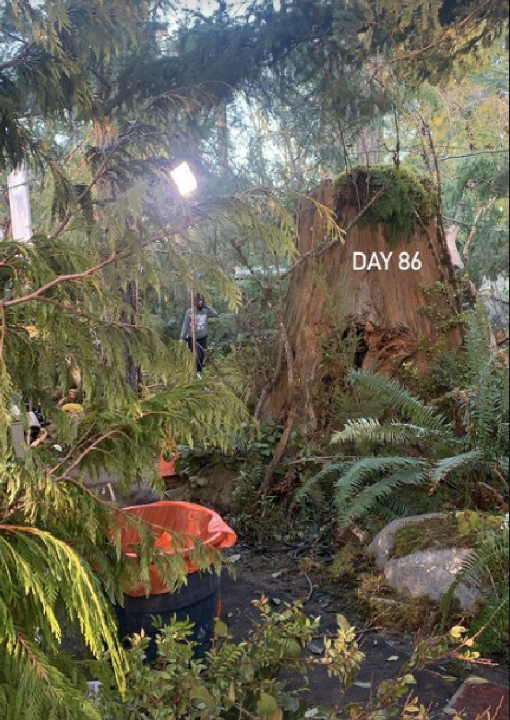 MAID Series Has Wrapped Filming in Victoria