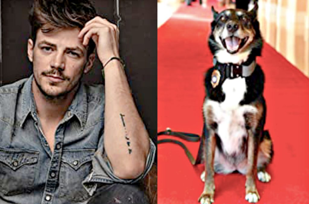 NEW MOVIE: Netflix's Cop & Canine RESCUED BY RUBY Starring THE FLASH'S ...