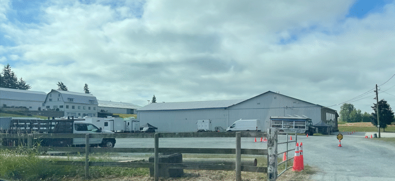 Indie COWBOY With Ben Foster, Gabriel Basso & Rudy Pankow at Pacific ...